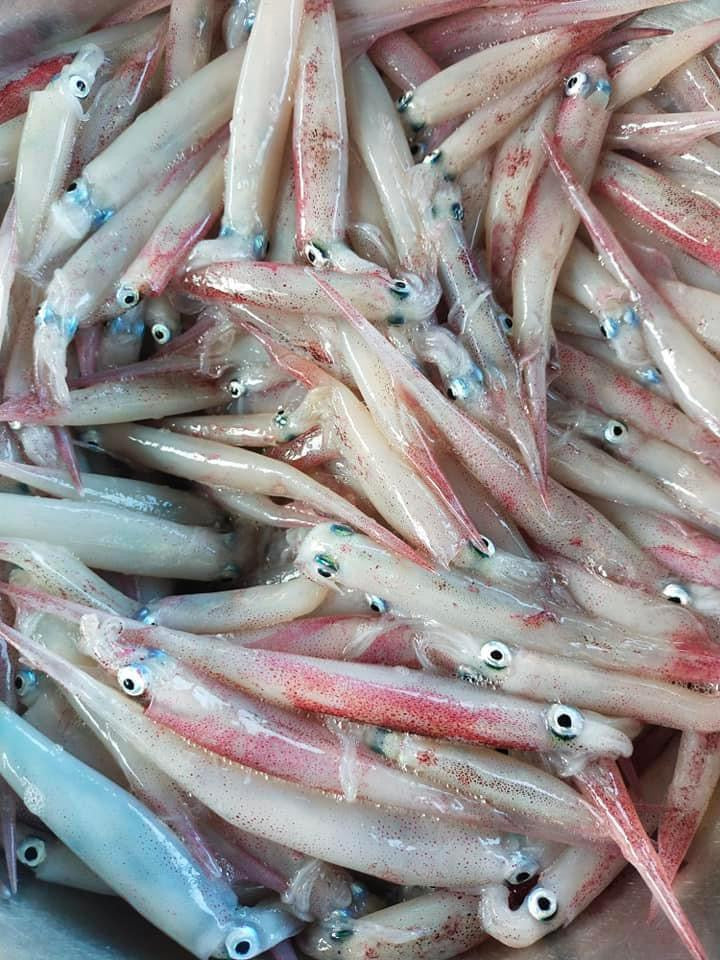 Special Bantayan Cebu - Dried Pusit (Tarorot) - Unsalted Squid - 120 G ...